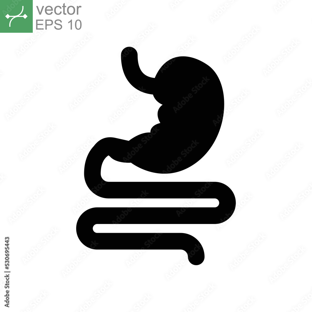 Digestive system, Human internal organ. Food processing organ tract ...