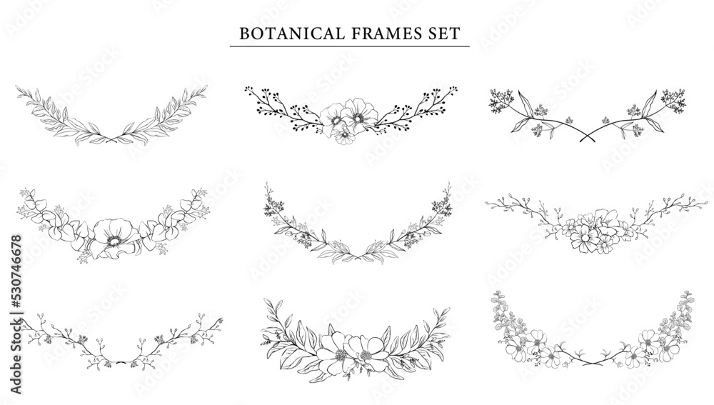 Botanical Frame set . Hand drawn floral borders and divider with branch ...