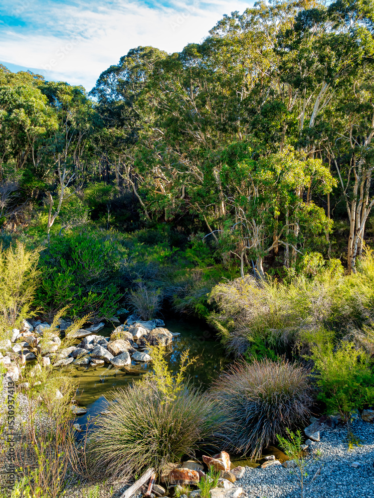 Dwellingup is a small timber town situated on top of an escarpment. It ...