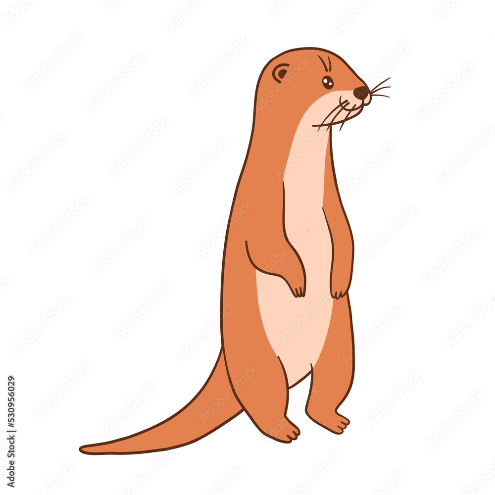 Cute otter, vector flat cartoon illustration isolated on white ...