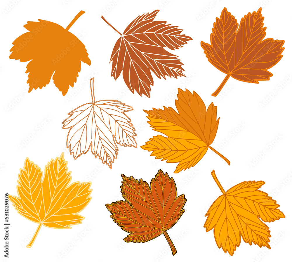 Maple leaves set. Digital illustration of leaf fall. Autumnnal clip art with transparent ...