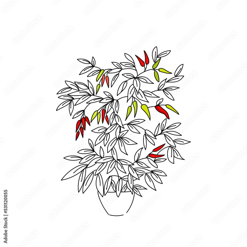 vector illustration plant bell pepper Stock Vector | Adobe Stock