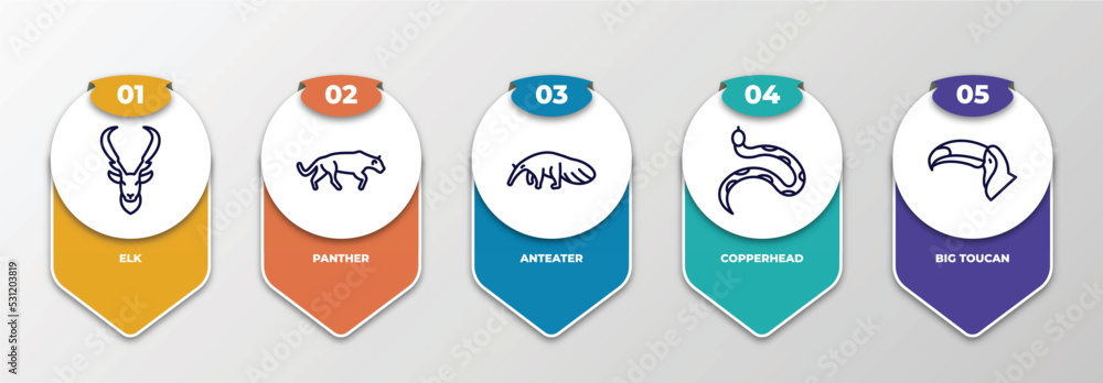 infographic template with thin line icons. infographic for animals ...