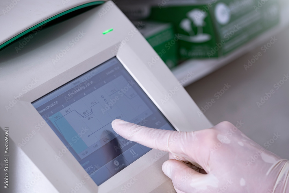 Scientist setup PCR machine, Real-time PCR for identification of ...