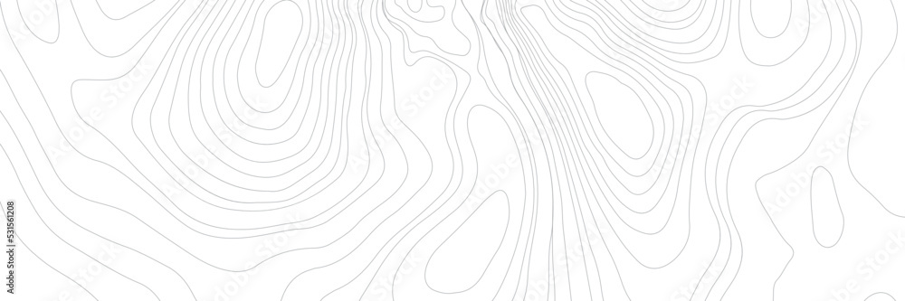 Topography map background. Grid map. Contour. Vector illustration ...