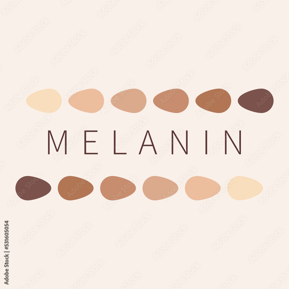 Stockvector Melanin color palette scheme from light to dark brown. Skin ...