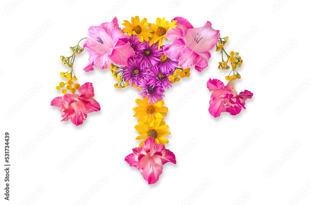 Female reproductive organs are laid out from flowers. image of flowers ...