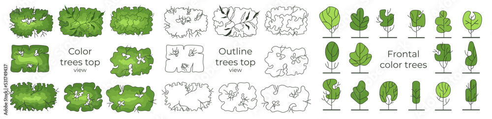 Tree for architectural floor plans. Entourage design. Various trees ...