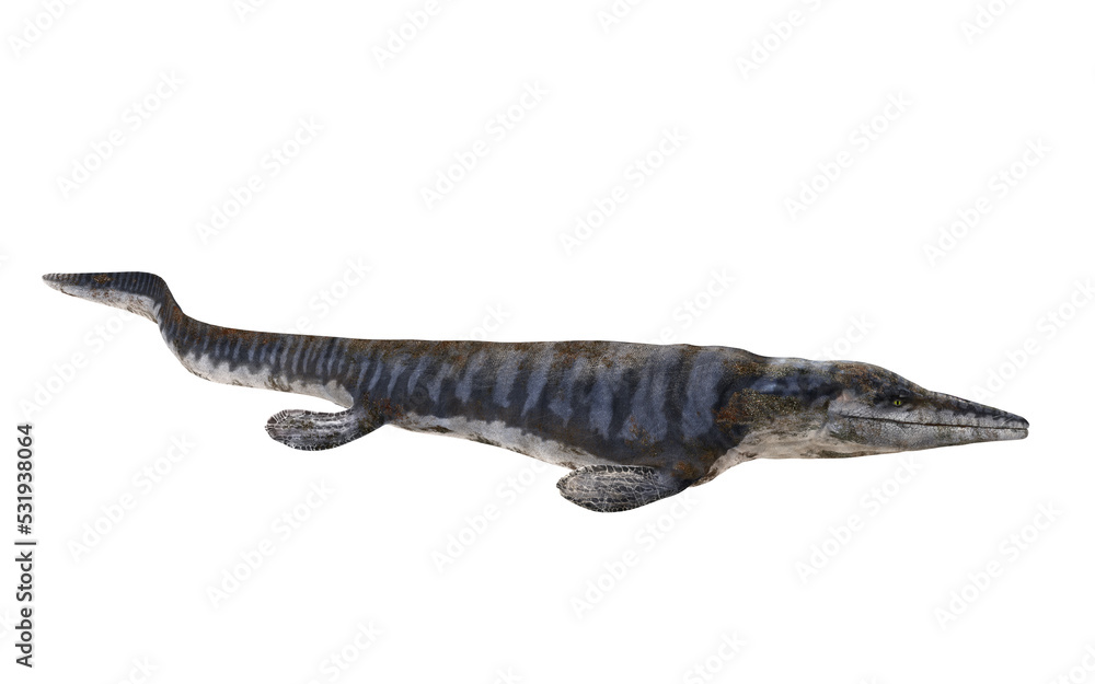 tylosaurus dinosaur on white background Stock Photo | Adobe Stock