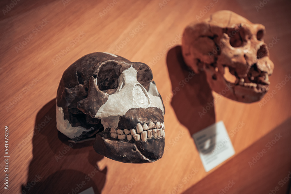 Foto de Stock 22 July 2022, Dusseldorf, Germany: Reconstruction of the ...