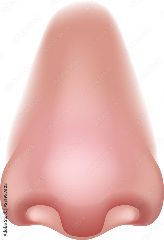 Vector de Stock Nose five senses human body part sensory organ icon ...