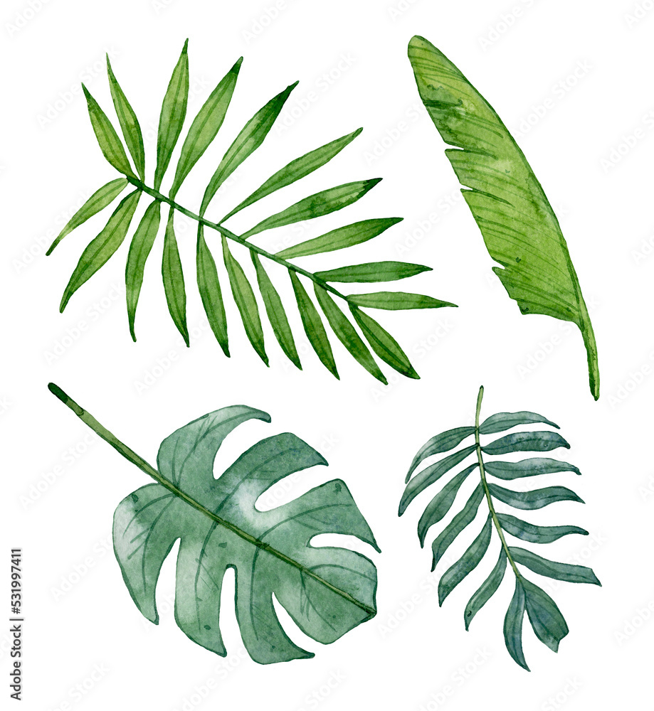 Watercolor set of green tropical leaves isolated on white background ...