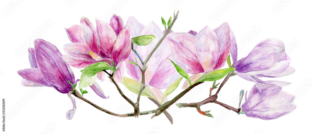 Watercolor magnolia floral arrangement, magnolia borders, wreath, frame ...