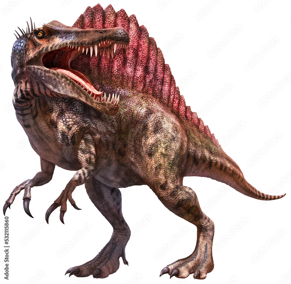 roaring Spinosaurus dinosaur 3D illustration Stock Illustration | Adobe ...
