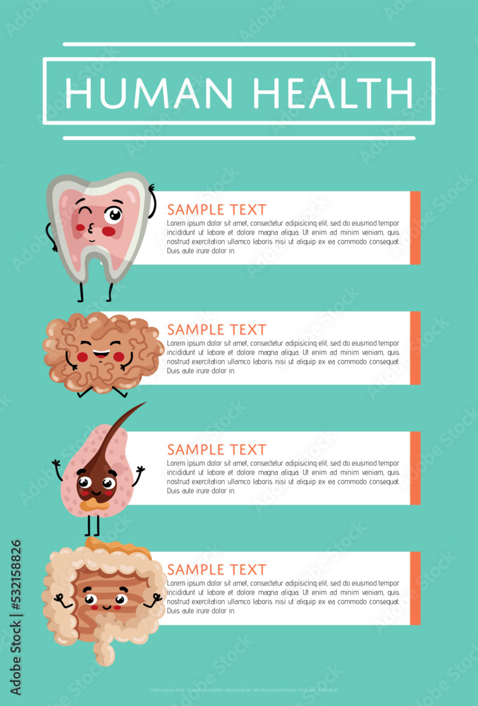 Human health medical poster with internal organs. Tooth, stomach ...