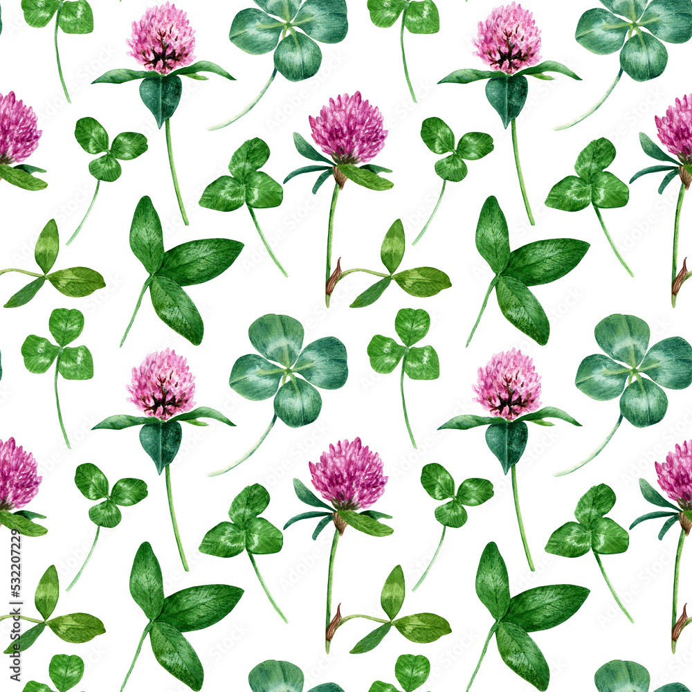 Seamlesss pattern with clover blooms and leaves isolated on white ...