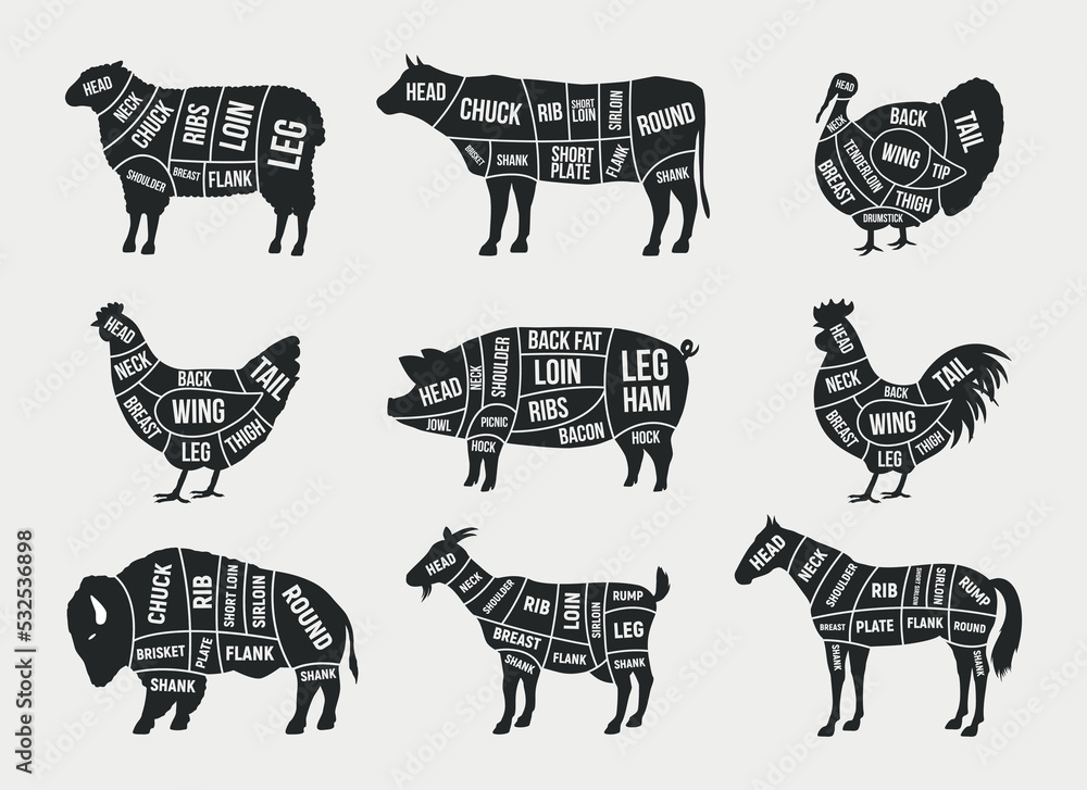 Butcher diagram, scheme set. Mutton, Lamb, Pork, Buffalo, Chicken ...