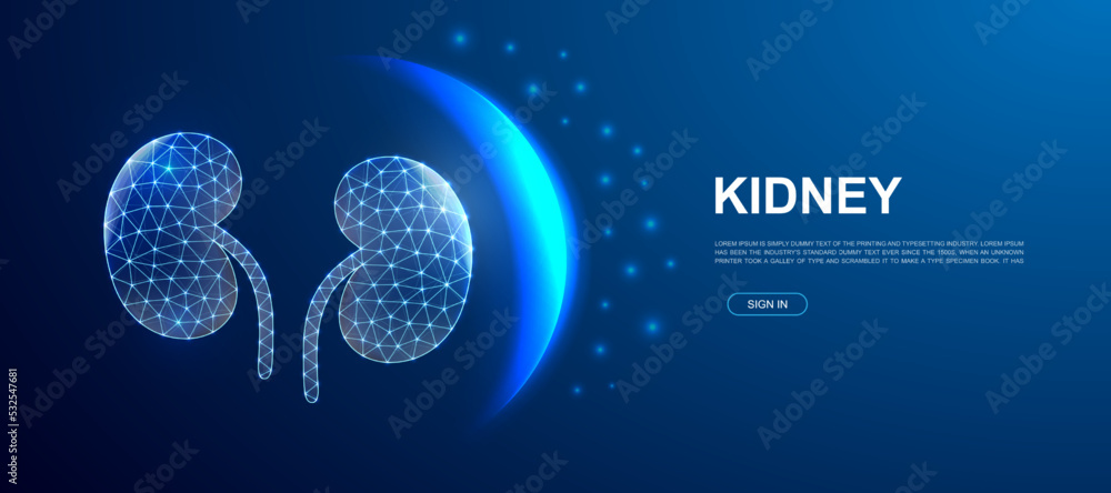 Kidneys 3d polygonal symbol for website template. Low poly Internal ...