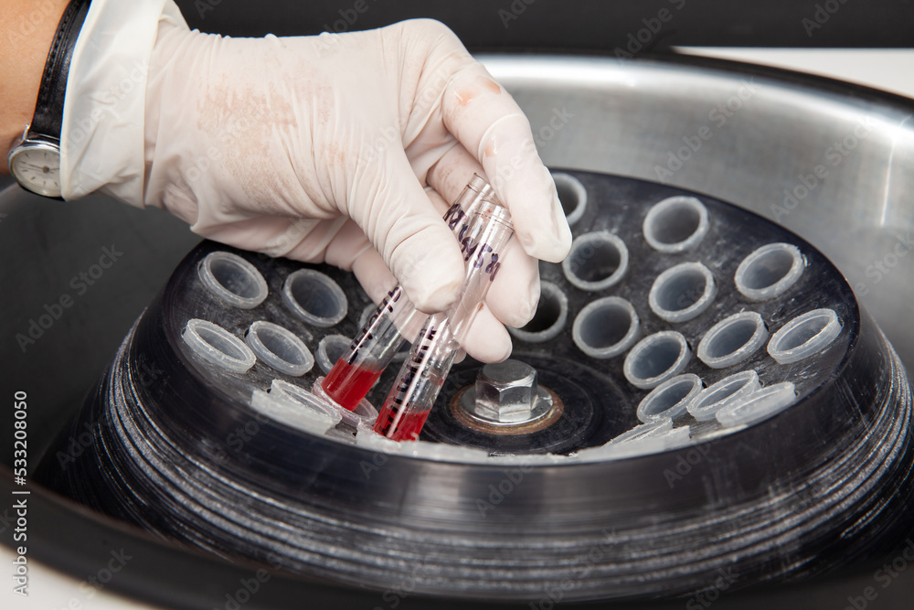 Scientist placing some test tubes into the centrifuge. Scientist ... Scientist placing some test tubes into the centrifuge. Scientist ...