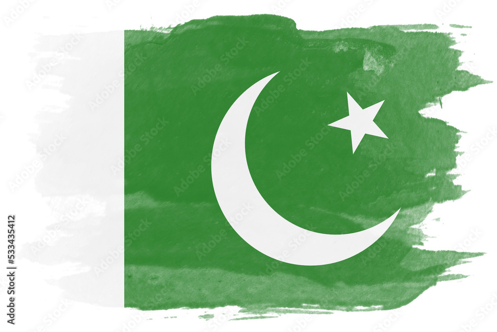 Pakistan flag brush stroke, national flag Stock Illustration | Adobe Stock