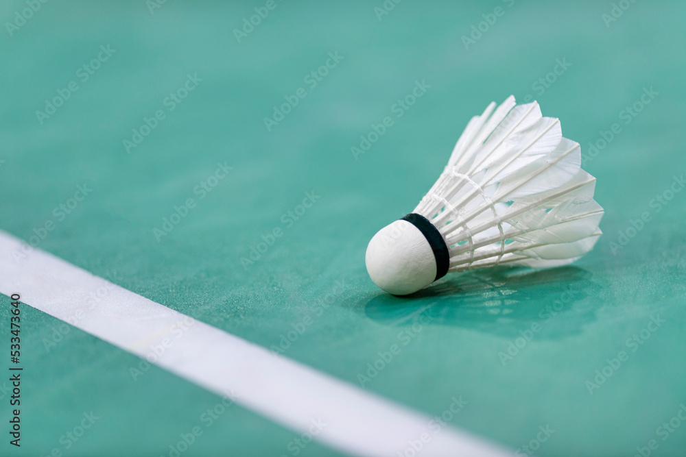 New shuttlecock badminton on mint background. Horizontal sport theme ...
