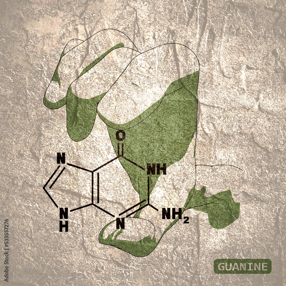 Hand holding chemical molecular formula of guanine - DNA and RNA ...