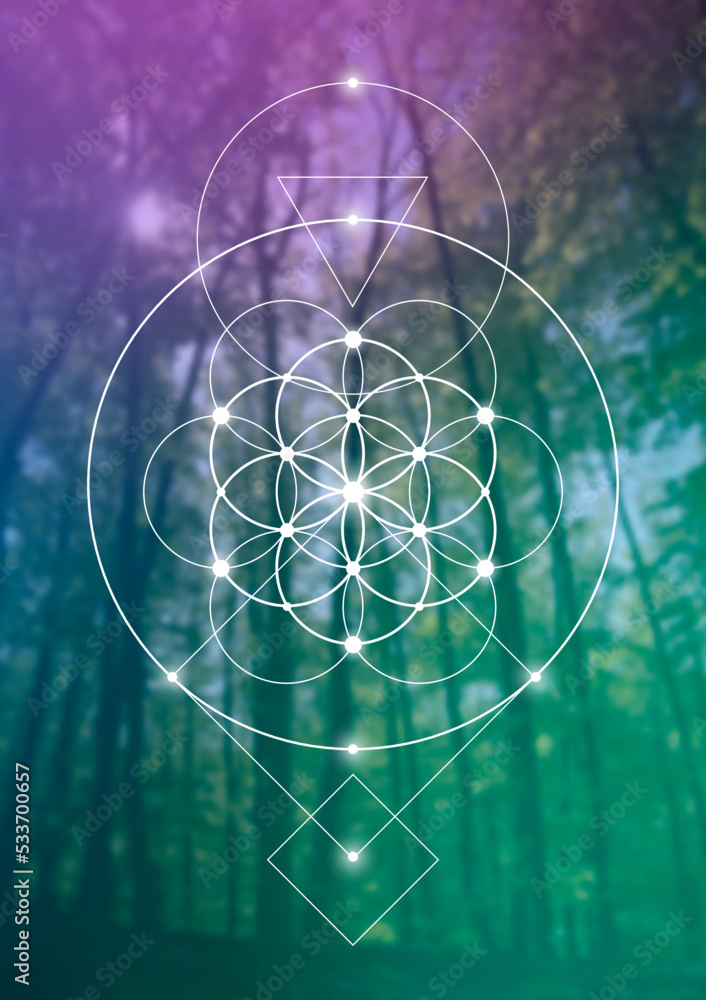 Flower of life. Tree of life. Sacred geometry spiritual new age ...
