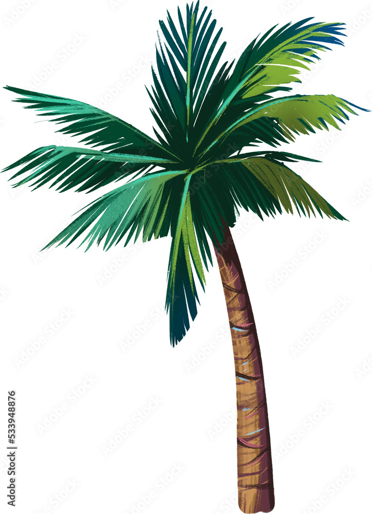 Palm tree illustration, color sketch Stock Illustration | Adobe Stock