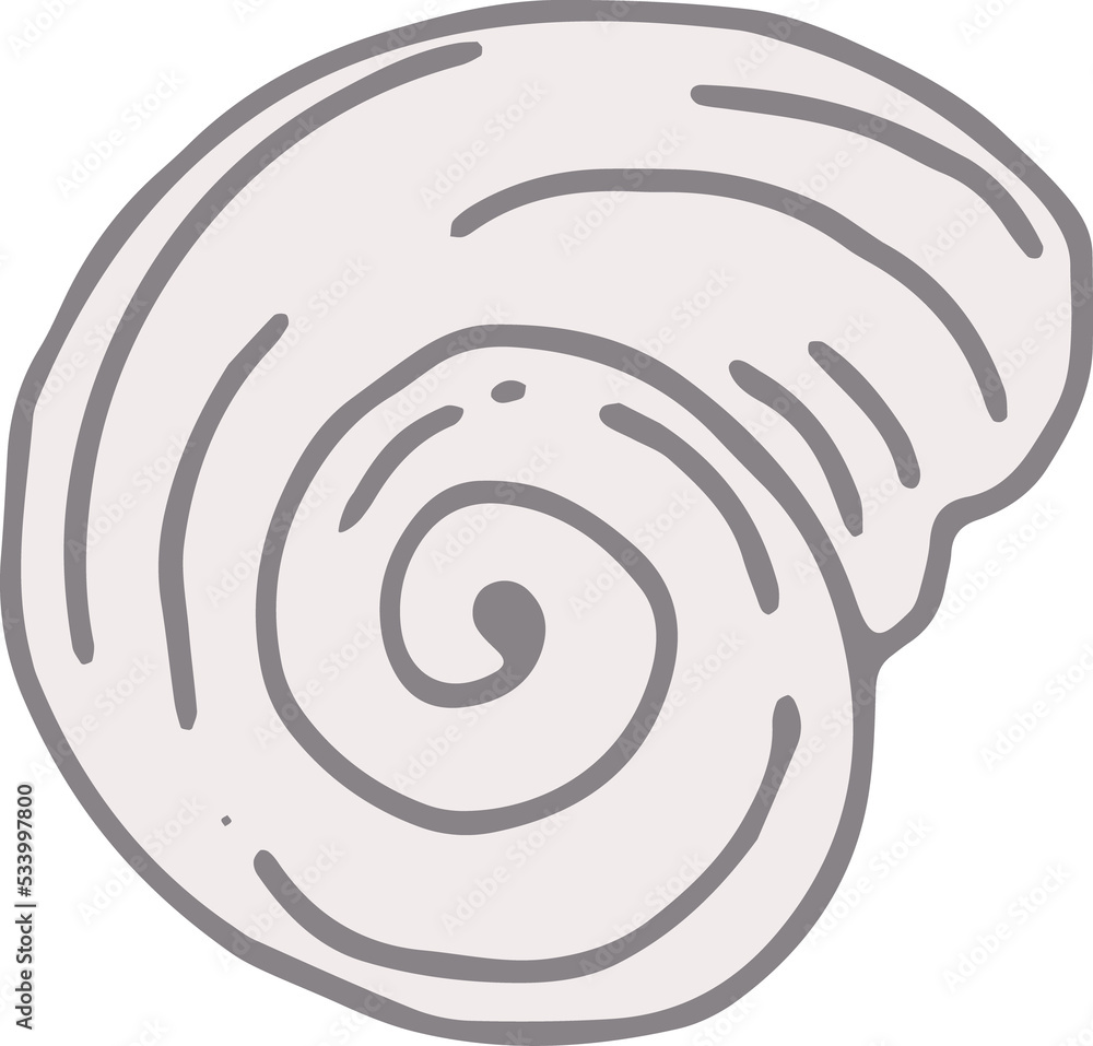 Line imprints of fossil seashell of prehistoric sea animal snail Gray ...