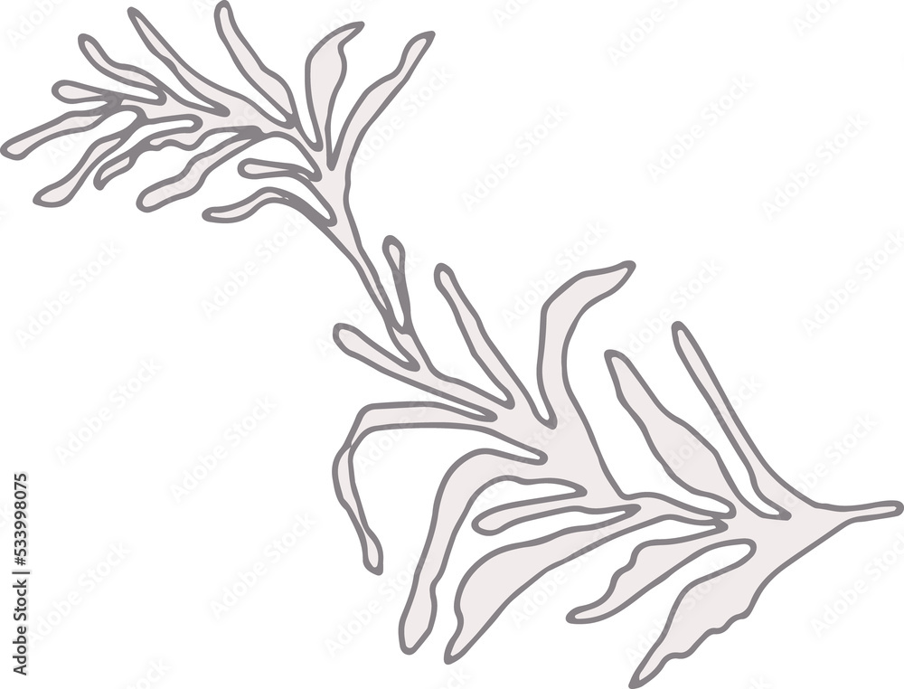 Line imprints of fossil skeletons of prehistoric plants ginkgo, fern ...