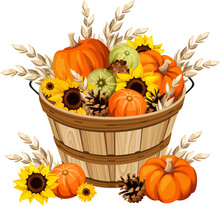 Thanksgiving Bucket Free Stock Photo - Public Domain Pictures