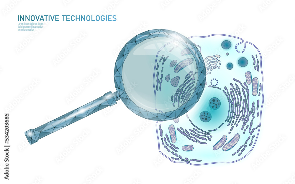 Vector de Stock Animal human cell structure educational science ...