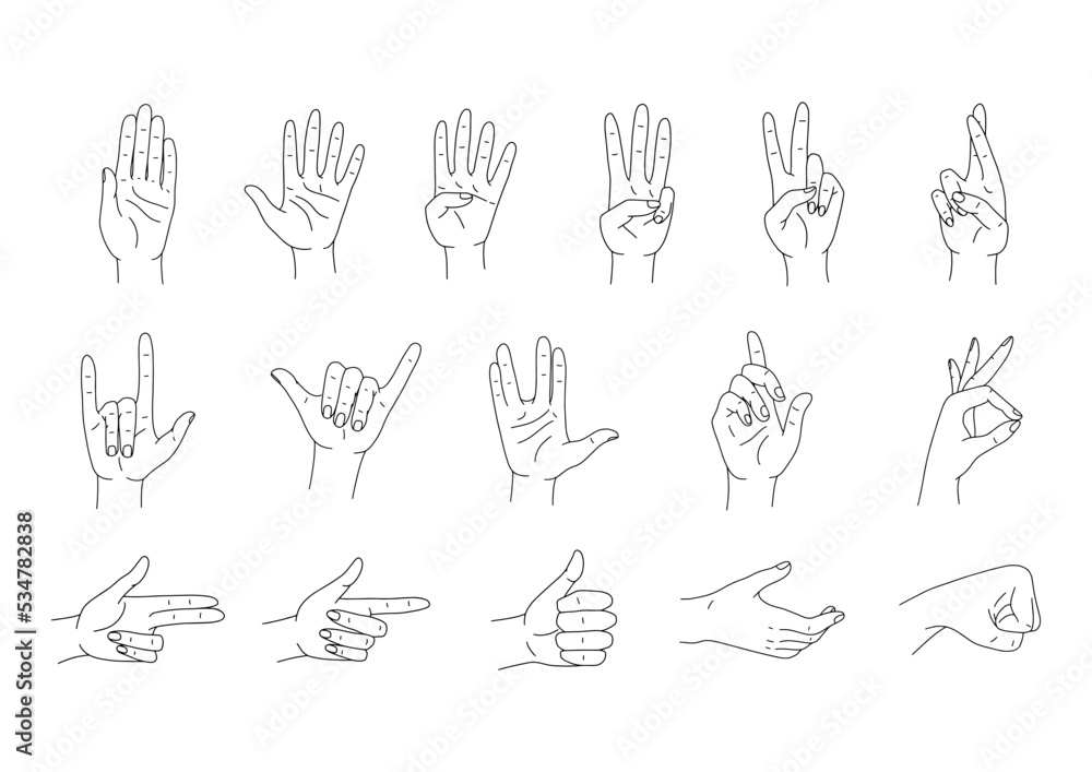 Hands poses vector set. Various hand gestures line art. Vector ...