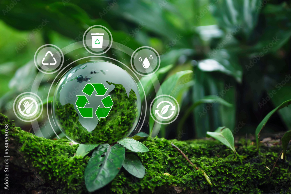 Zero waste,net zero concept. Carbon neutral. Climate neutral long term ...