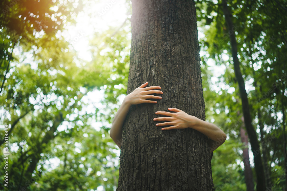 young woman tree hugging in the forest in concept of people love nature ...