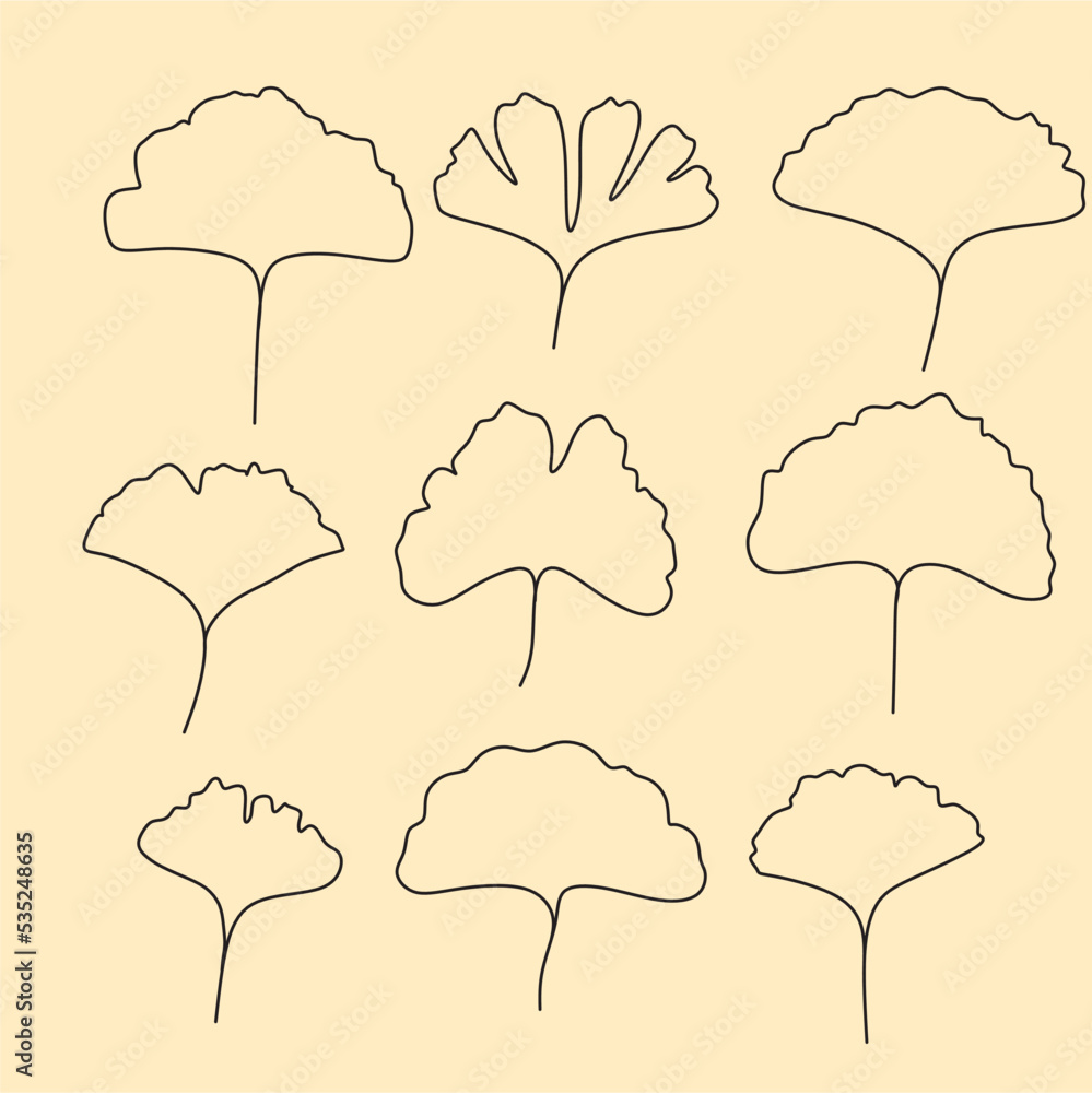 Simple not perfect black ginkgo biloba leaf silhouette. Illustration isolated on white. Hand ...