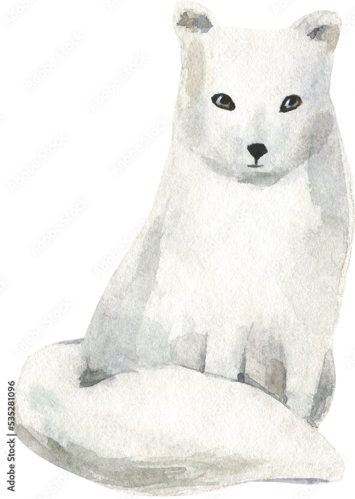 Watercolor isolated white polar fox. Cut out hand drawn PNG ...