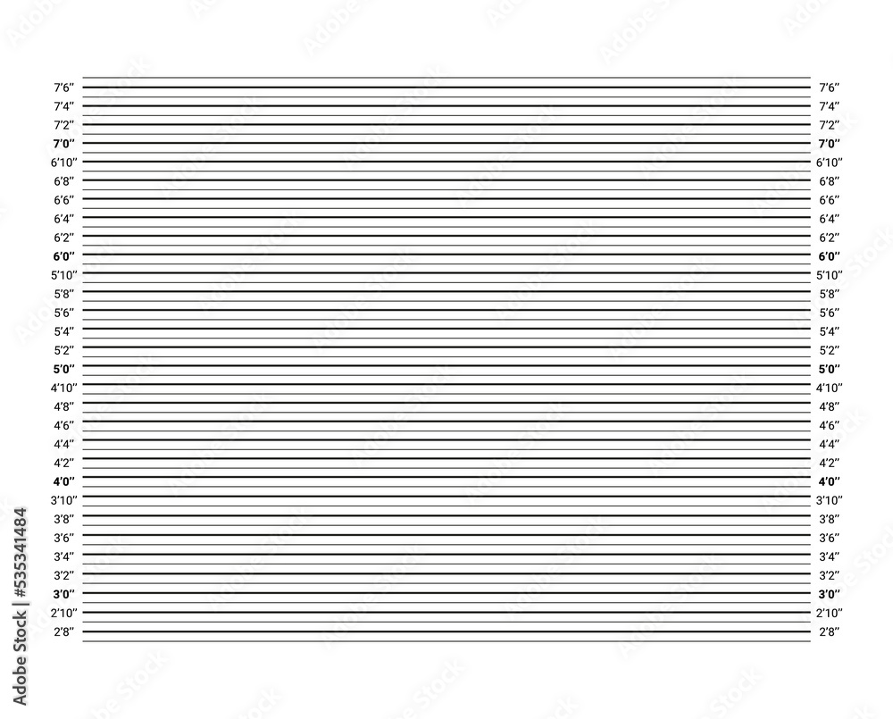 Mugshot board template. Police wall measurements for wanted picture ...