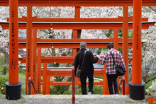 Inside Of Shrine Free Stock Photo - Public Domain Pictures