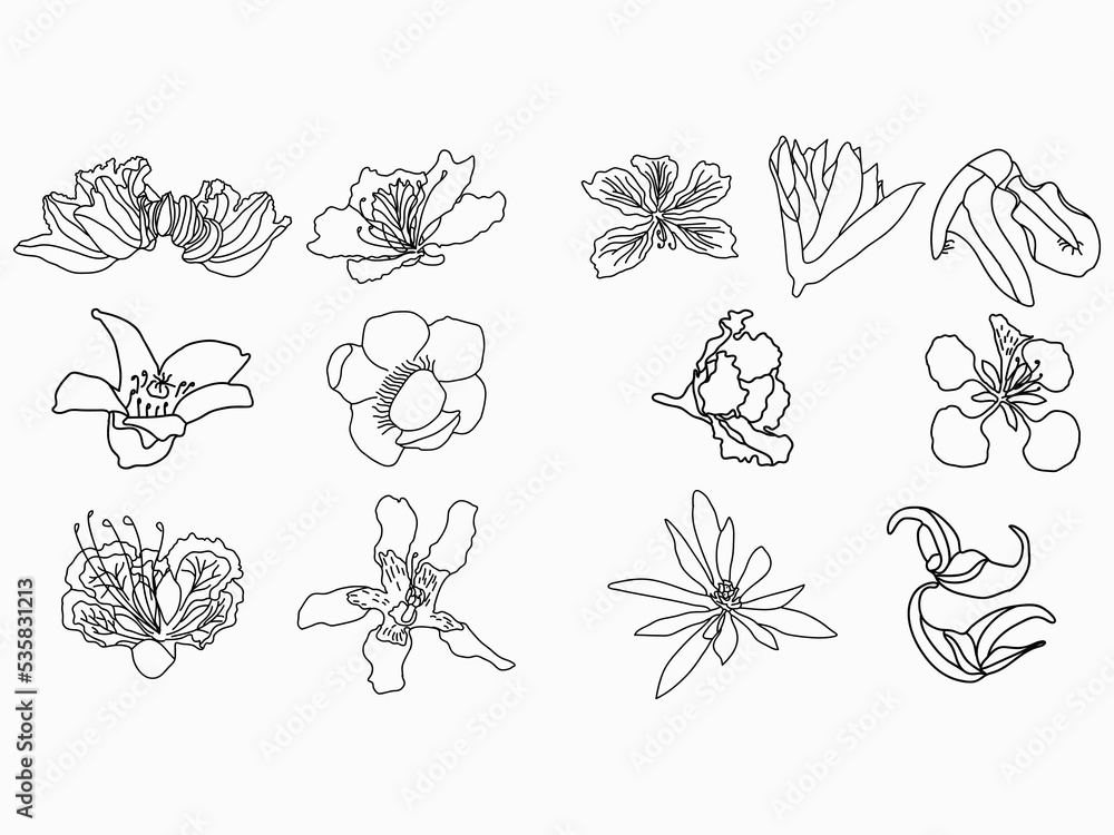 tropical flowering tree outline illustration .flower line art icon set ...
