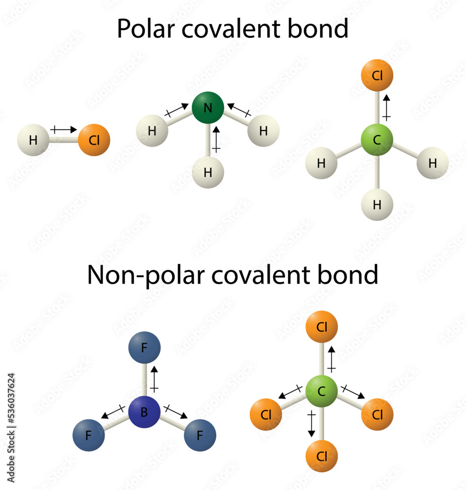 Example Of Polar Covalent Bond