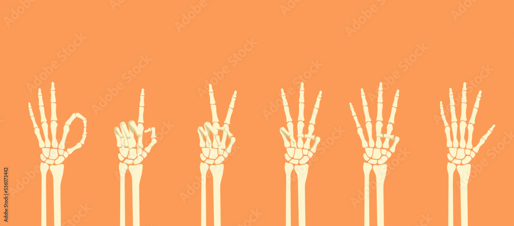 Human skeleton hands is counting one to five number raise out of the ...
