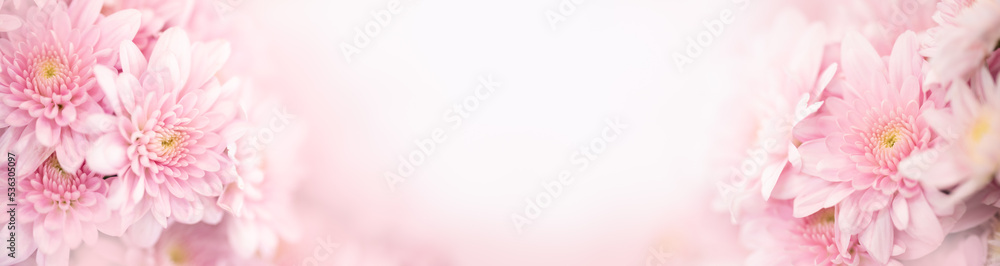 Nature of flower in garden using as cover page background natural flora ...