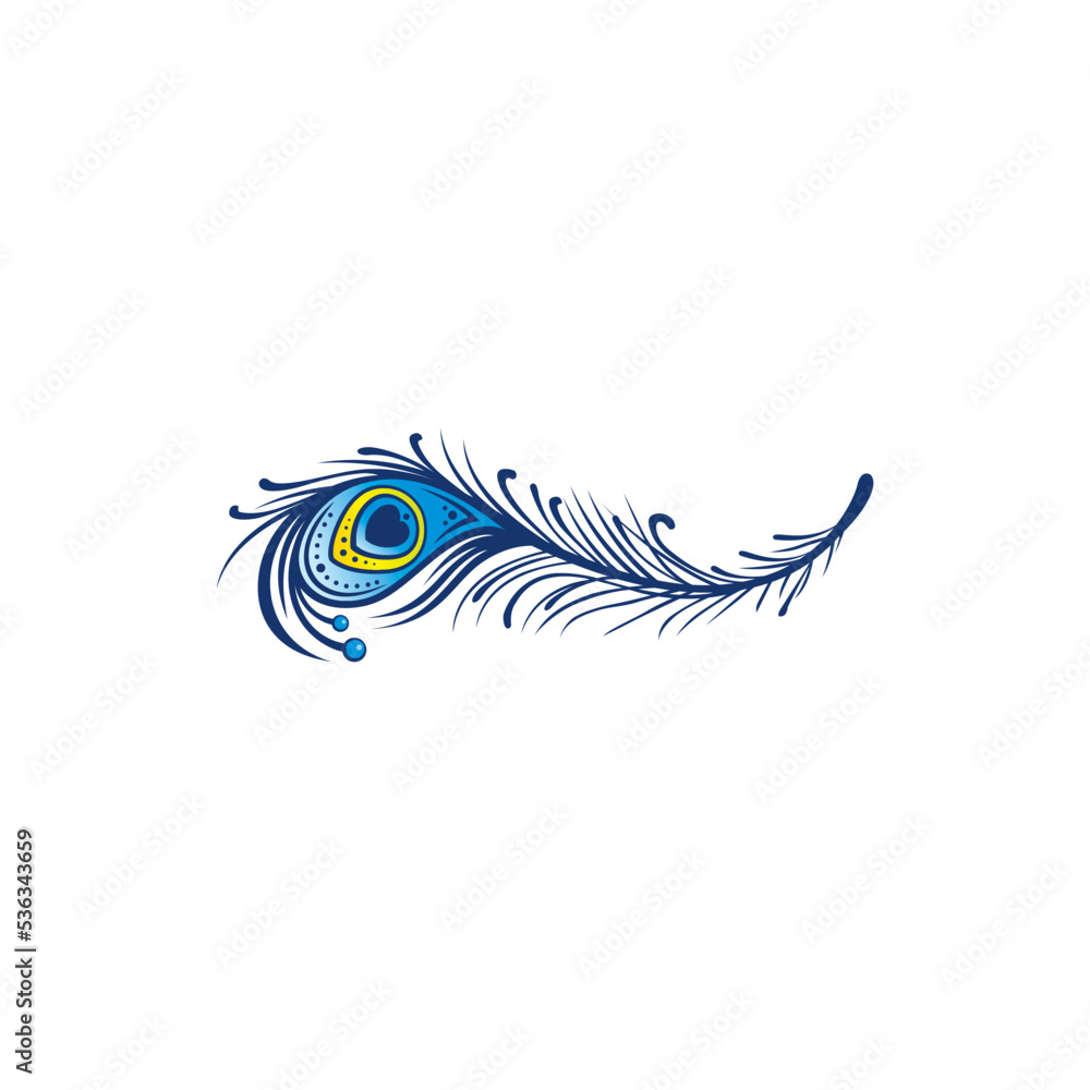peacock feather design vector