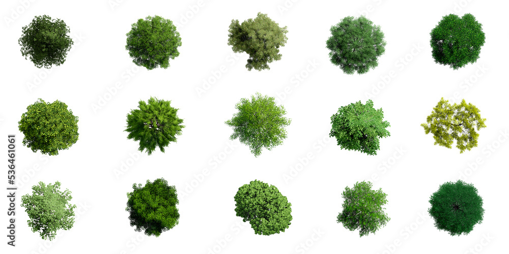 Collection of 3D Top view Green Trees Isolated on PNGs transparent background , Use for ...