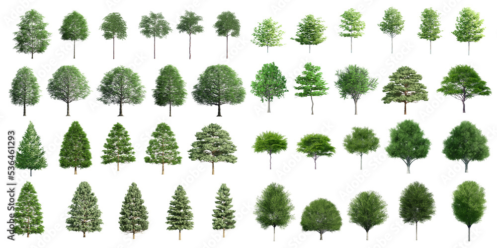 Collection Beautiful 3D Trees Isolated on PNGs transparent background , Use for visualization in ...