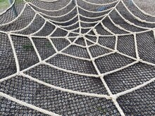 Rope Spider Web Free Stock Photo - Public Domain Pictures