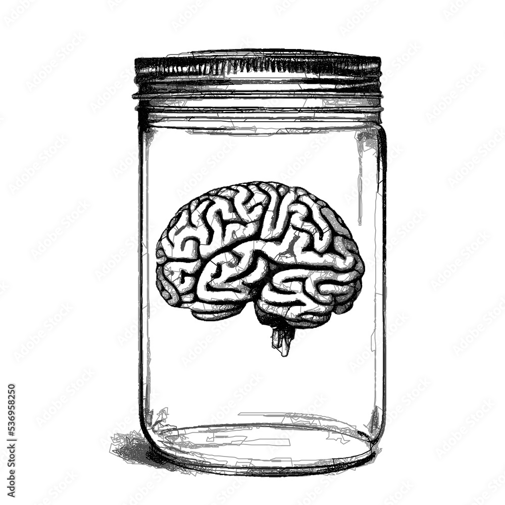 Human brain in a jar. Doodle sketch. Vector illustration. Isolated on ...
