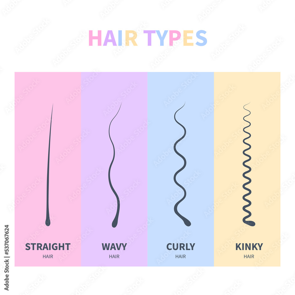 Straight, wavy, curly, kinky hair types classification system set ...