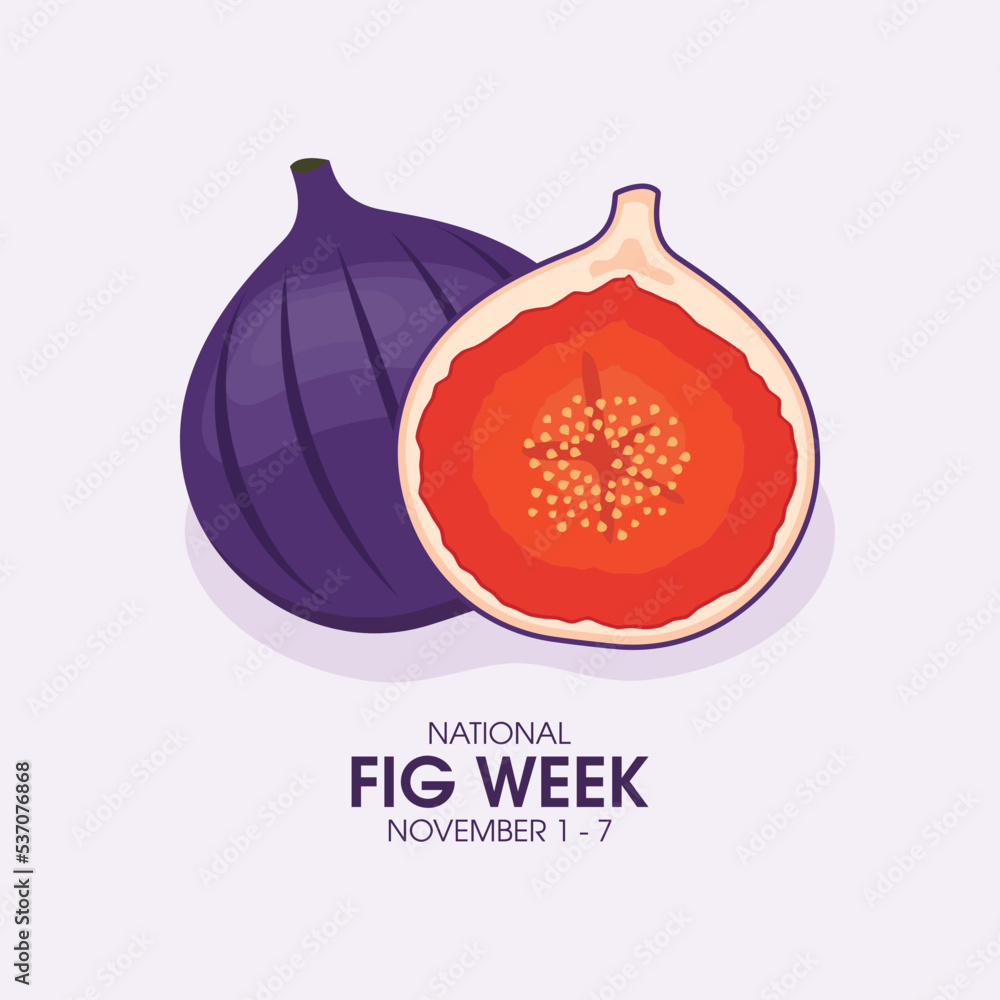 National Fig Week vector. Whole and halved fresh figs icon vector. Fig ...